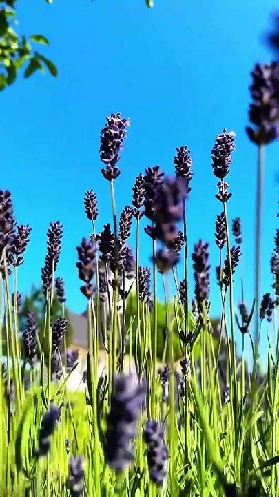 Спремање порте за годишњицу од пробоја “Коридора живота 1992”… Youtube