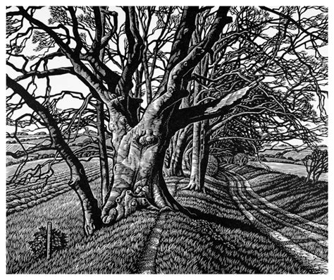 GitHub Kraymer Treeage Expose Aging Code By Listing Contents Of Repository In A Tree Like