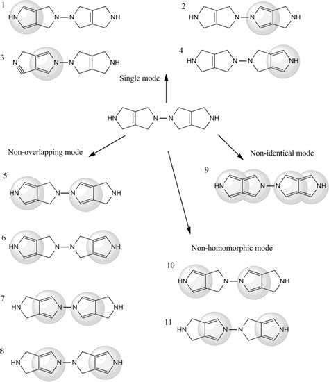 Reaction Transformation According To The Substructure Match Modes