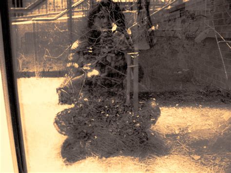 Reflection By Dreaddreaming On Deviantart