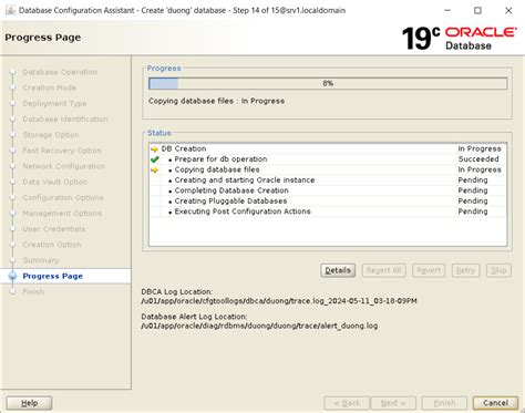 Tạo Container Database Mới Bằng Dbca Trong Oracle Database 19c Datalinksvn