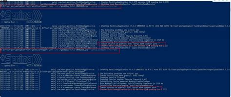springboot 动态配置profile环境的方式 java 脚本之家