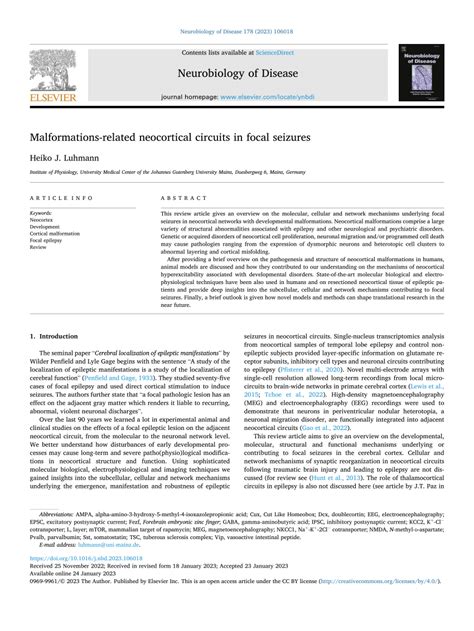 Pdf Malformations Related Neocortical Circuits In Focal Seizures