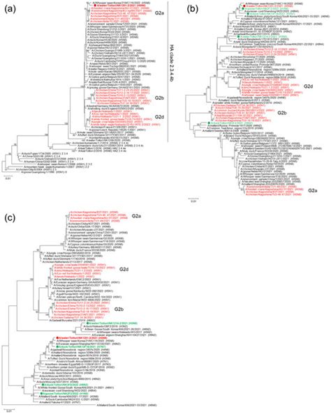 Pathogens An Open Access Journal From Mdpi