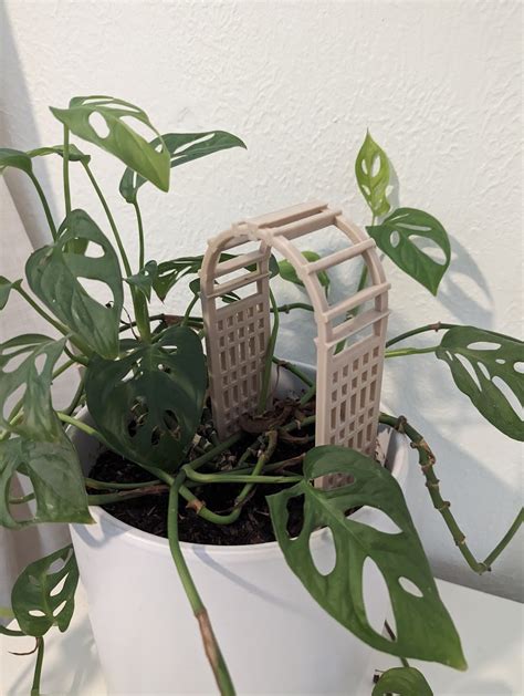 Mini Arbor Archway By Marxs Download Free Stl Model