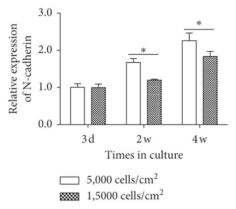 expression levels of rpe cell type specific genes and emt related genes