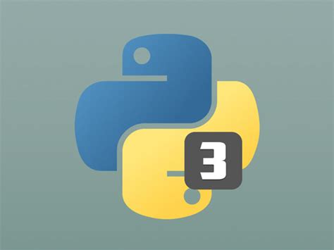The Developers Guide To Python 3 Programming Stacksocial