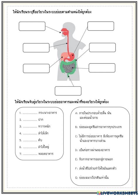 ใบงานที่ 3 เรื่อง การเปลี่ยนแปลงสถานะของสาร Interactive Worksheet Artofit