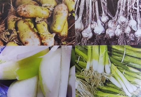 감기 빨리 낫는 법 감기에 좋은 음식들 덕구일보