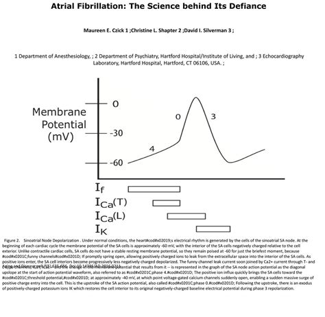 Atrial Fibrillation The Science Behind Its Defiance Ppt Download