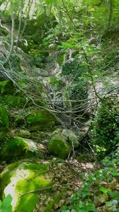 ბუნების ძეგლები ჩვენს მახლობლად Natural Monuments Near Us Youtube