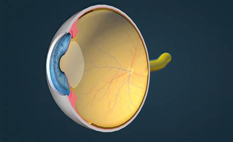Cornea Specialist In Kirti Nagar Delhi Dr Sarika Gupta