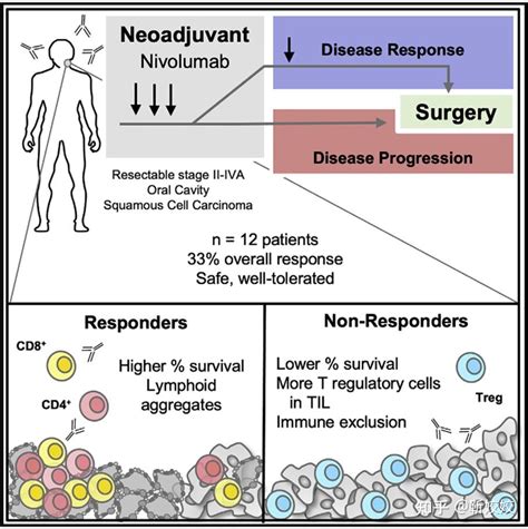 经典案例合集头颈癌肿瘤微环境研究不可错过这八篇！ 知乎