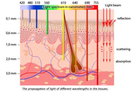 Microneedling Dermplaningl Led Light Therapy Facial Nottingham