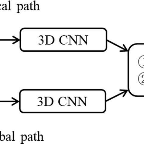Simplified Schematic Three‐dimensional Dual Path‐convolutional Neural Download Scientific
