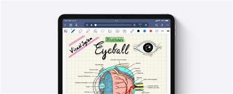 Goodnotes And Apple Notes On IPad Nifty Features Tips And Tricks
