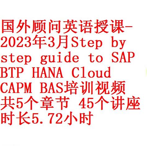 国外顾问英语授课 2023年3月step by step guide to sap btp hana cloud capm bas培训视频 共