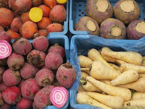 choosing the best parsnip substitute for your recipe