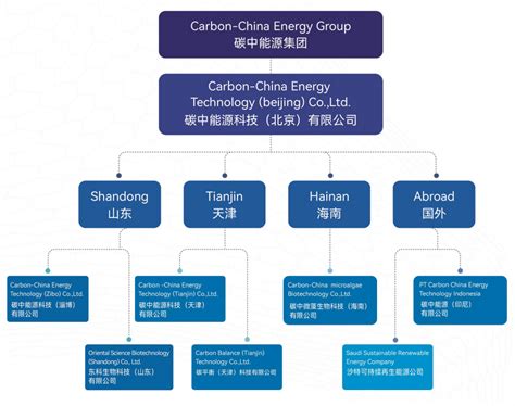 碳中能源科技（北京）有限公司
