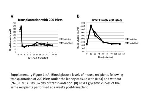 Human Hemangioblast Derived Mesenchymal Stem Cells Promote Islet