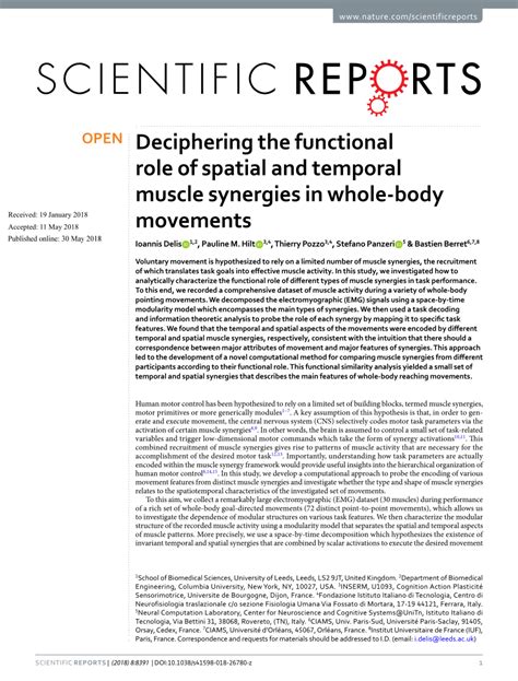 Pdf Deciphering The Functional Role Of Spatial And Temporal Muscle Synergies In Whole Body