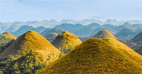 Panglao Bohol Chocolate Hills Tarsiers And Lobocriver Cruise Getyourguide
