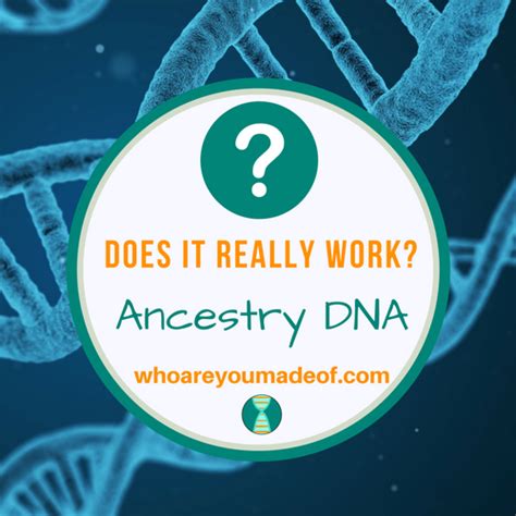Does Ancestry Dna Really Work Who Are You Made Of