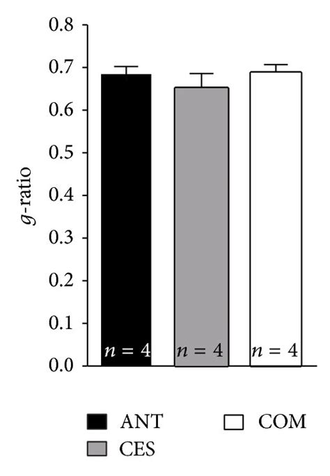 Histomorphometric Analysis The Analysis Of Nerve Fibers At 105 Mm