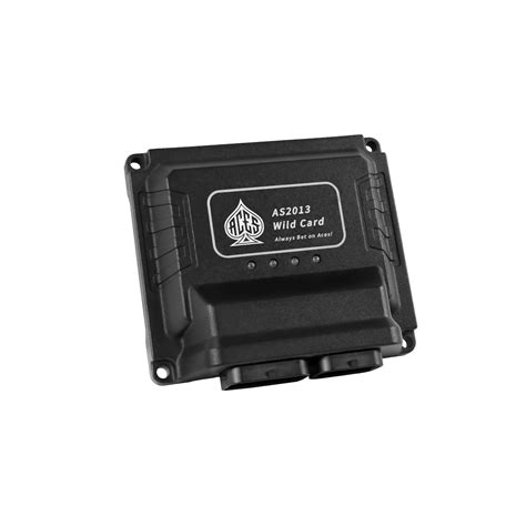 System Ecus