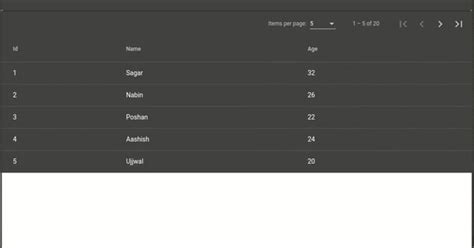 Angular Material Data Table Paginator With Server Side Pagination