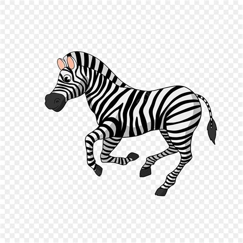 Zebra Clipart Png