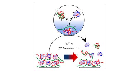 Self Reorganizing Multilayer To Release Free Proteins From Self Assemblies Langmuir