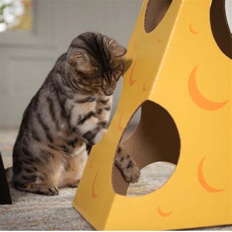 Giant Cheese Wedge Cardboard Cat House Cat In The Box Llc