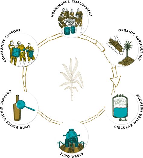 Copalli Is A Full Circle Ecosystem