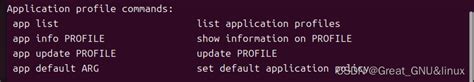 ubuntu24 04lts防火墙设置 ubuntu24 防火墙 csdn博客