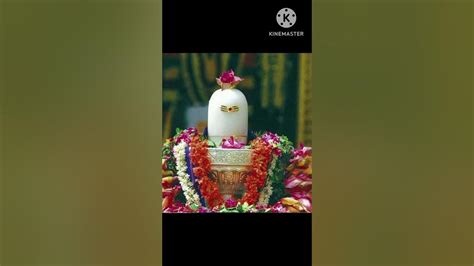 🙏har Har Mahadev 🙏💥🚩 Shorts Viral Youtube Shortsviral Religious