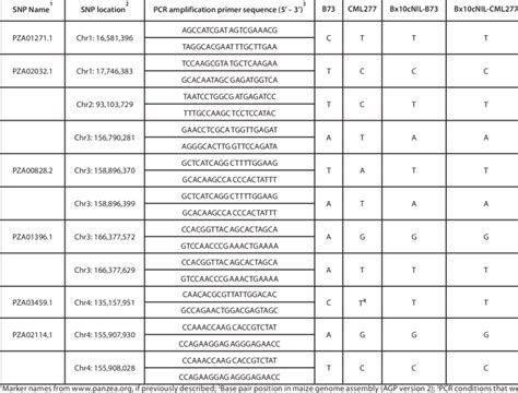 Genotyping Snps Of Near Isogenic Lines Derived From Z005e0174 On