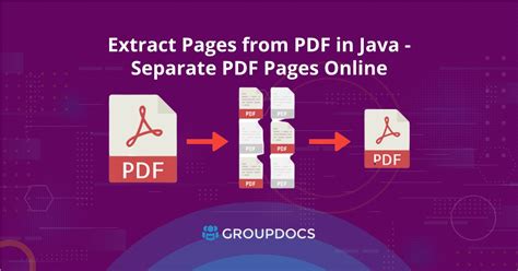 Extract Pdf Pages In Java Pdf Extractor