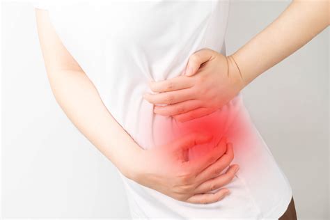 Bladder Stones On Ultrasound A Guide For Clinicians Echonous