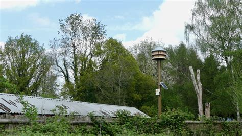 Swift Tower Unveiled At County Hall Usk Monlife