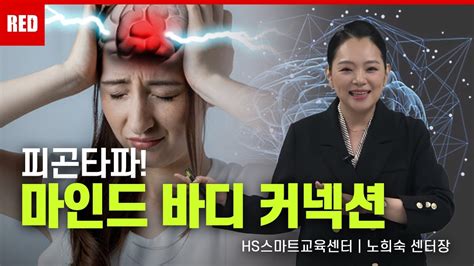 늘 피곤한 당신이 꼭 알아야 할 스트레스 관리법 노희숙 강사 번아웃 스트레스관리 Youtube