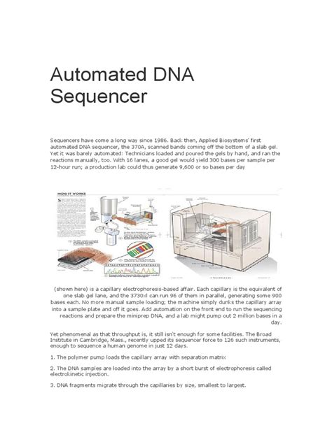 Automated Dna Sequencer