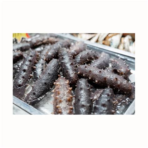 Organic Dried Sea Cucumber Fresh Sea Cucumber Bulk Suppliers Buy