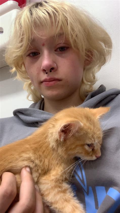 The Cat Distribution System Works In Weird Way More In Caption R