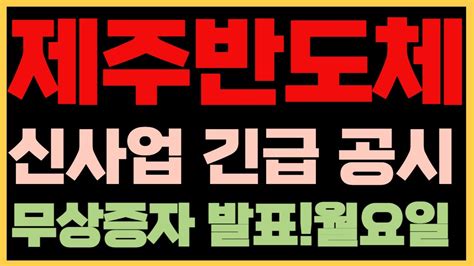 금양 신사업 긴급공시 무상증자 월요일 발표 2차전지배터리테슬라신재생4695금양주식엔솔양산투자2차구간계약양극제신수주계약 Youtube