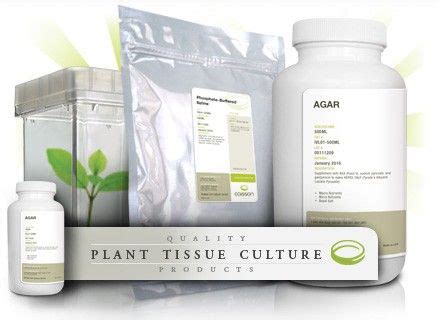 Best Images About Tissue Culture Micropropagation On Pinterest Biology Tc And Plant Tissue