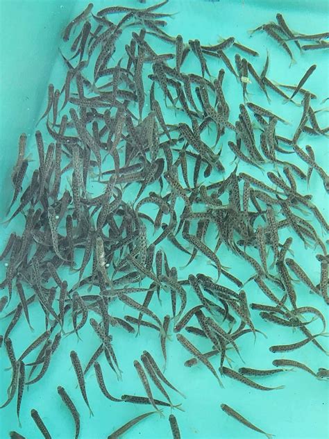 Quality Air Care Heating And Air Conditioning Ltd Quality Air Care Heating Air Conditioning