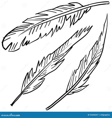 Eagle Feather Coloring Pages