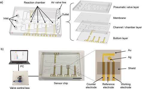 Microfluidic Electrochemical Immunosensors At Ricky Vanzant Blog