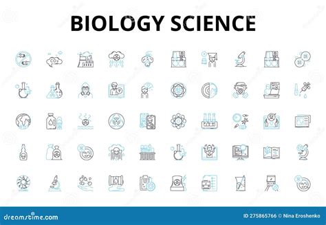 Photosynthesis Linear Icon Cartoon Vector 243476169